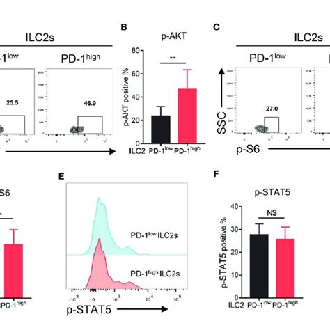 Upregulation Of The Pd 1 Activated Akt S6 Signaling Pathway In Ilc2s