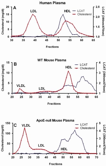 preparation of hdl associated lcat size exclusion chro open i