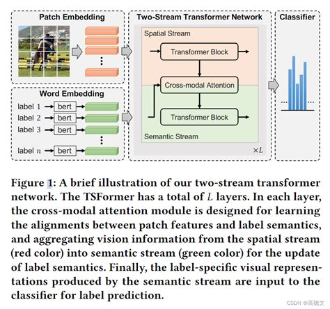 论文阅读《two Stream Transformer For Multi Label Image Classification