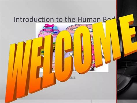 Ppt Introduction To The Human Body Powerpoint Presentation Free