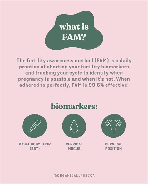 Fertility Awareness Method And Best Bbt App • Organically Becca