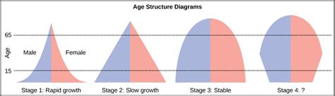 Human Population Growth Openstax Biology 2e