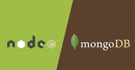 node js и mongodb