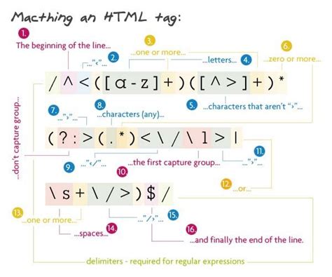 8 regular expressions you should know com imagens programação
