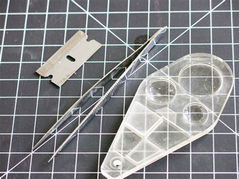 Squid Dissection 11 Steps With Pictures Instructables