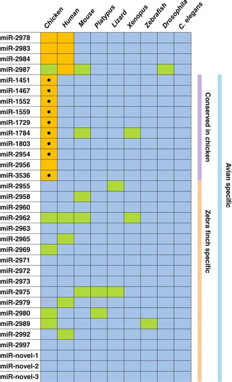 genome wide annotation and analysis of zebra finch microrna repertoire
