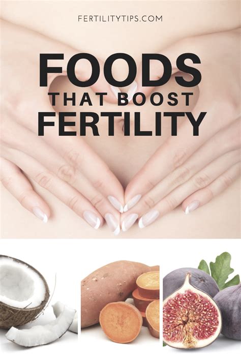 Foods That Boost Fertility Foods To Boost Fertility Fertility Boost