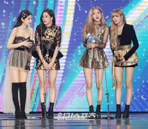 Blackpink At 33rd Golden Disc Awards 2019 Lisa Blackpink