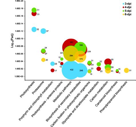 Kegg Pathway Classification Of Significantly Enriched Differentially