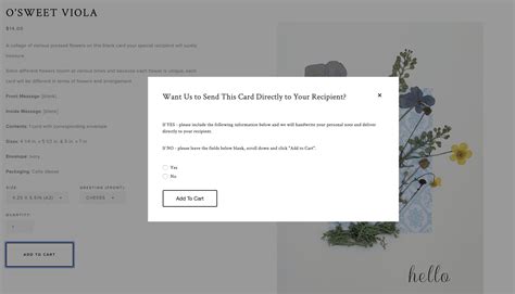 javascript conditional form on popup squarespace stack overflow