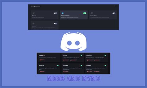 setup mee6 or dyno on your discord server by copper968 fiverr