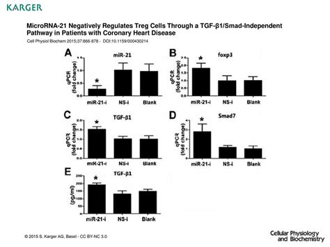 Microrna 21 Negatively Regulates Treg Cells Through A Tgf β1 Smad