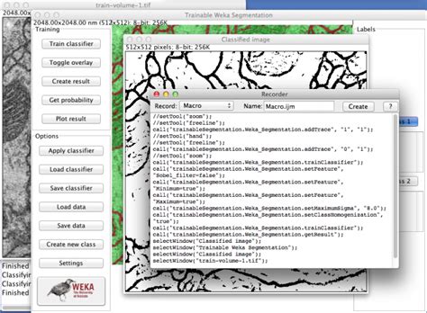 leaf segmentation using trainable weka segmentation plugin