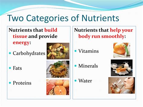 What Are The 3 Main Types Of Nutrients Glucose Guards