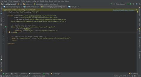 Руководство по spring autowiring bytype пример приложения proselyte