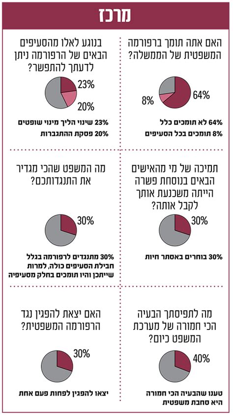 מה חשוב לשמאל מה כואב לימין ומהי הבעיה במערכת המשפט גלובס