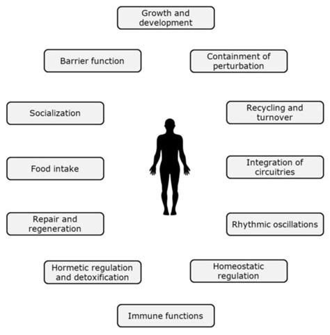 Nutrients Free Full Text Nutrition To Optimise Human Health—how To