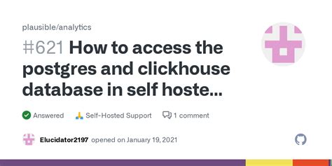 how to access the postgres and clickhouse database in self hosted