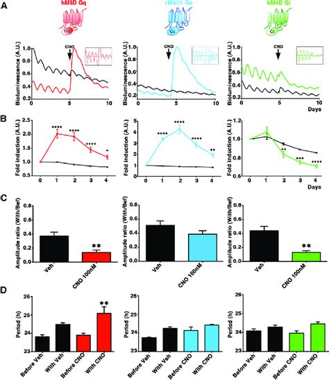 Selective Roles For Gs Gi And Gq Signaling Pathways In Controlling