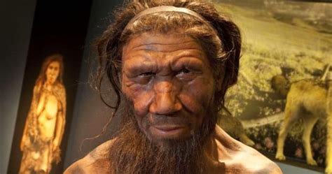 10 Surprising Facts You Never Knew About Neanderthals Listverse
