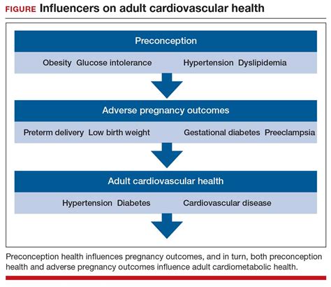 Adverse Pregnancy Outcomes And Later Cardiovascular Disease Mdedge Obgyn