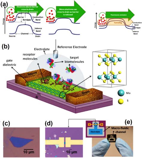 A Illustration Of Bandgap Effects Of Graphene Fet Biosensor B