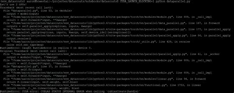 dataparallel tutorial and cublas errors pytorch forums