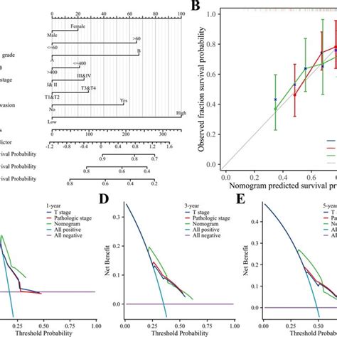 Construction And Evaluation Of Prognostic Nomogram For Hcc A A