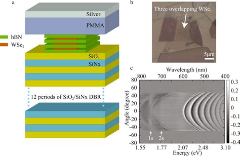 Reflection Spectrum Of Wse2 On Dbr A Schematic Illustration Of The
