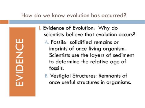The Evolution Of Living Things Ppt Download
