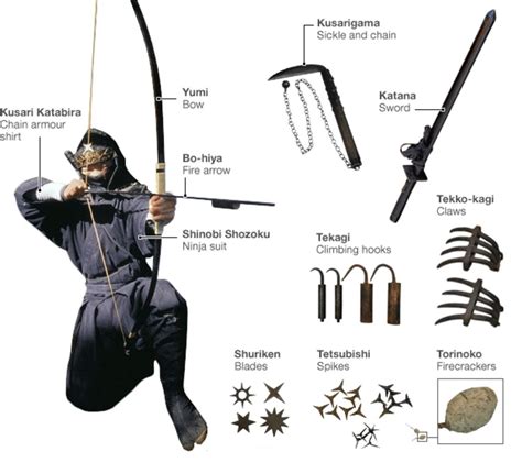 japan s ninjas heading for extinction bbc news