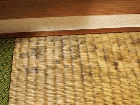 室内のカビ│掃除と予防法を徹底解説！コツは湿度・温度・栄養分 くらしのマーケットマガジン