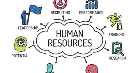 7 Human Resource Management Basics Every Hr Professional Should Know