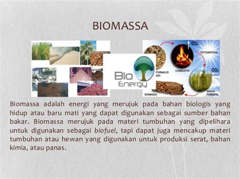 Biomassa