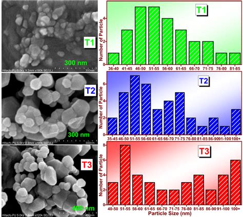 Fesem Micrographs And Histogram Representation Of Particle Size