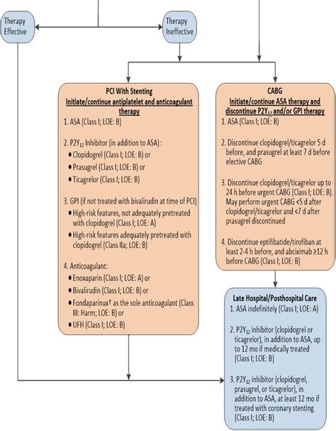 Nstemi Myocardial Revascularization Acvp Online