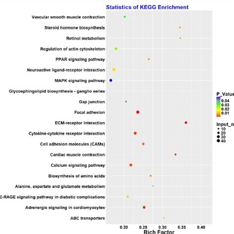 Kegg Pathway Analysis Of Deg Advanced Bubble Chart Shows Enrichment Of