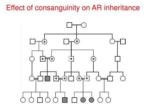 ppt patterns of inheritance powerpoint presentation free download