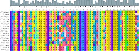 multiple sequence alignment of arabidopsis thaliana sbp domain the