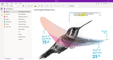 Onenote Vs Onenote For Windows 10 Whats The Difference