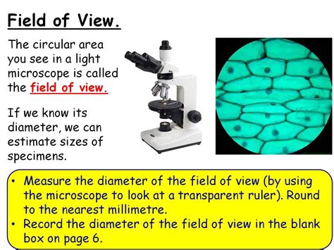 Microscopes And Cells 5 Gcse Biology Lessons Cb1a C Sb1a C Edexcel 9