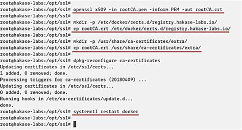 how to setup private docker registry on ubuntu 18 04 lts linux blimp