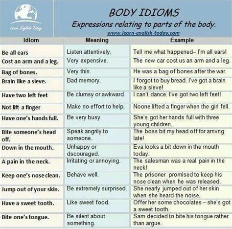 esl expressions ec fredonia