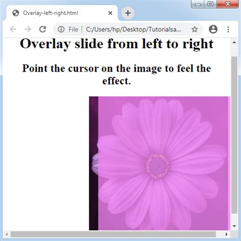 css overlay tae