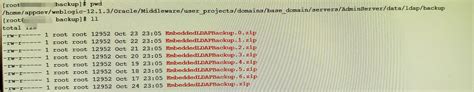 weblogic启动节点服务java lang classcastexception com octestring