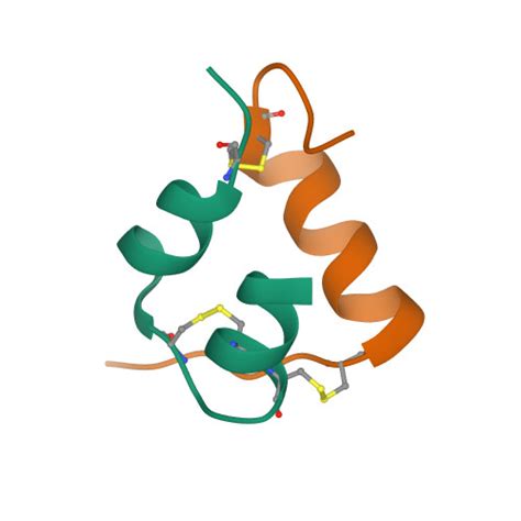rcsb pdb 2wfv crystal structure of dilp5 variant c4