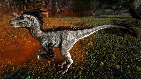 Alpha Raptor Playark