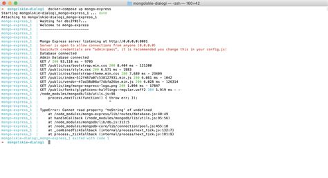 typeerror cannot read property tostring of undefined mongo express