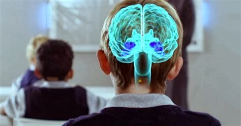 Neuroeducación El Aprendizaje Basado En Neurociencias