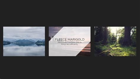 113 css image effects